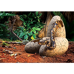 Exo Terra Dinosaur Egg Fossil Ornament