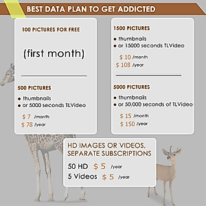 Folgtek 4G Cellular Trail & Game Camera 32MP 1296P with SIM Card Sends Pictures to Cell Phone, Night Vision & Motion Detection 120° Wide Angle 0.1s Trigger Time for Outdoor, Home