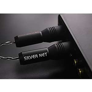 P2.5-M2 HiFi Hi End 2.5mm TRRS Balanced Male to 2 XLR Male Cable, for Astell&Kern AK100II, AK120II, AK240, AK380, AK320, DP-X1A, FIIO X5III, XDP-300R, iBasso DX200, KANN etc. (3.2ft (1M))