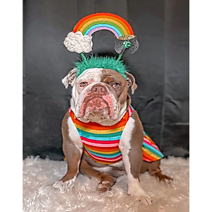 Midlee St. Patrick's Rainbow Pot of Gold Dog Headband