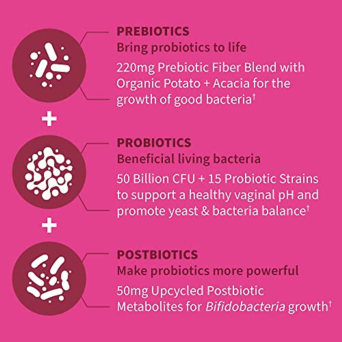 Garden of Life Dr Formulated Womens pH Probiotics 50 Billion CFU, Pre + Pro + Postbiotics - Digestive, Immune and Vaginal Support, Potato, Acacia, Postbiotic Metabolites, 30 Vegetarian Capsules