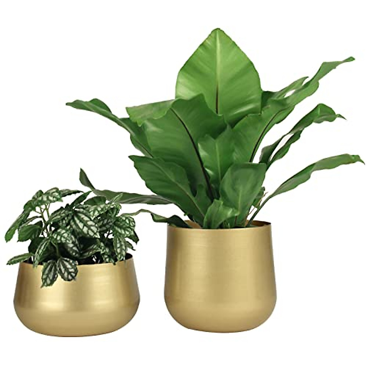 Vixdonos Gold Metal Flower Pots Brass-Toned Garden Planters, 7.1/6.3 Inch Indoor Round Succulent Containers, Pack 2 Cactus Plant Pots with Drainage Hole