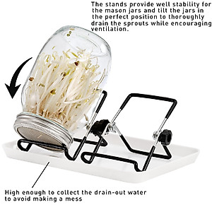 Tebery Complete Mason Jar Sprouting Kit - 2 Wide Mouth Quart Sprouting Jars with 316 Stainless Steel Screen Sprouting Lids, Melamine Tray and Stand | Seed Sprouter Set for Broccoli, Alfalfa, Mung Bean