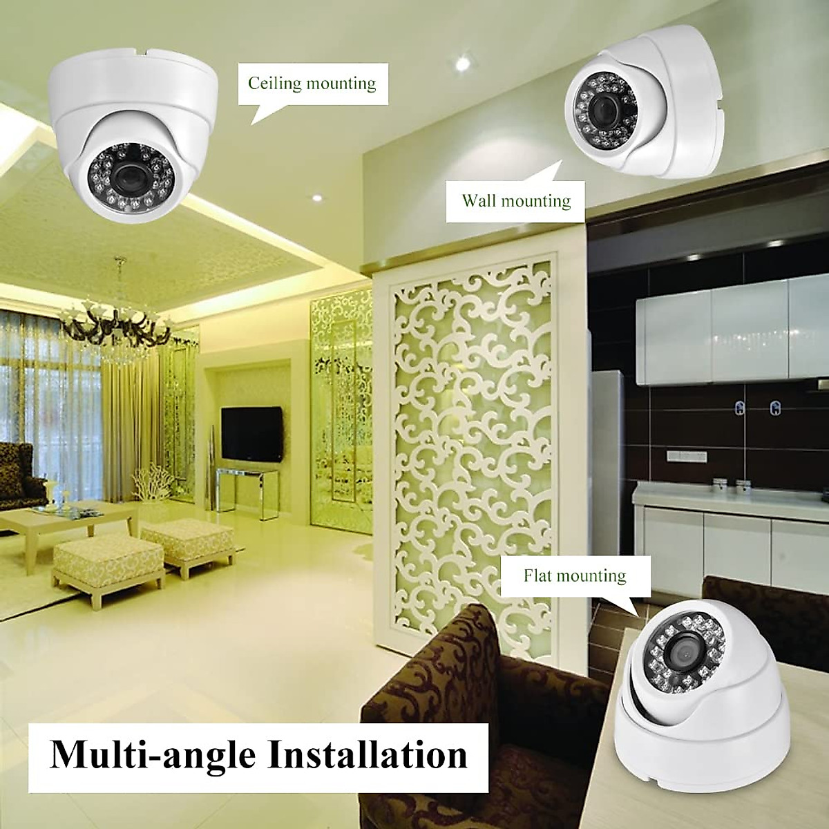 Vanxse® CCTV 24ir Leds 1/3 CCD 800tvl Indoor Dome Audio Camera D/n Security Surveillance Camera
