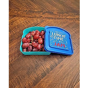 Pack of 6 Food Storage Sandwich Containers, 2 cups / 16 oz / 490 ml - 3 Different Designs. Great for Meal Prep. Kids or Adult Lunch Box - BPA Free and Reusable