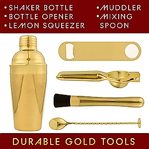 Pistivo Bartender Travel Bag - Portable Bar Case for Cocktail Creation, Barware Roll Bag Tool Set w/ Vegan Shoulder Strap, Storage Case Accessories, Perfect for Mixing Drinks, Burgundy