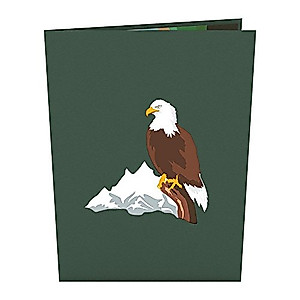 Lovepop Eagle Pop Up Card, 3D Card, Father's Day Card, Birthday Card, Patriotic Card, Animal Card, Bird Card, Nature Card, Great Outdoors Card