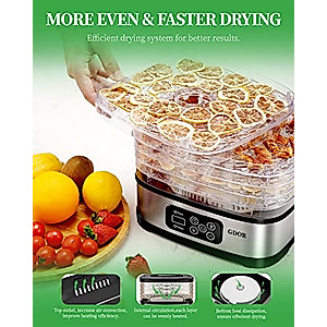 GDOR Food Dehydrator Includes Mesh Screen, Fruits Roll Sheet, Recipes, 5 Trays Dehydrator Machine with Temp Control & 72H Timer & LED Display, for Jerky, Fruit, Veggie, Herb, Dog Treat, BPA-Free