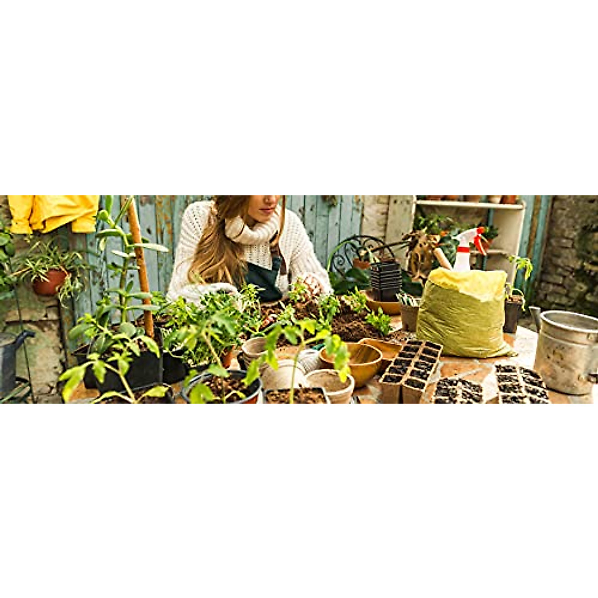 Indoor Live Herb Garden & Plant Seed Starter Kit - DIY Transplanting Kit for Beginners & Kids | Includes Seeds, Soil, Pots, Markers, Instructions, & Grinder | Parsley, Basil, Cilantro, & Chive Seeds