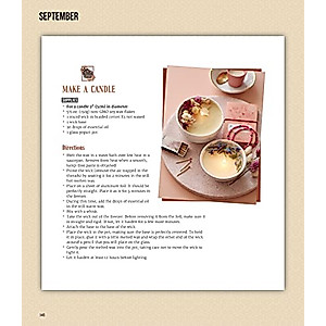 Knitting Almanac: Projects, Stitches, Lessons, Tips, and Tricks for Knitting Through the Year (Landauer) Over 100 Projects for Baby Clothes, Home Decor, Holiday Decorations, Toys, Recipes, and More