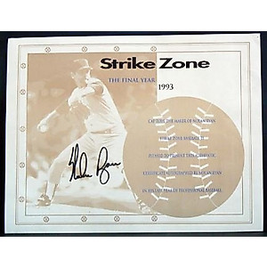 Nolan Ryan's - "Strike Zone Baseball" Electro Arcade game