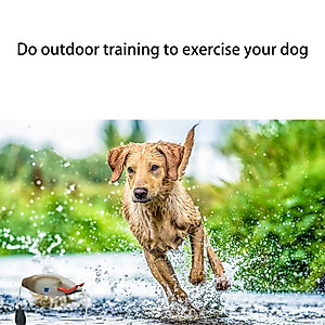 YardGo Duck Dog Toy, The Bird Dummy Teaches Mallard Waterfowl Game, Pet Dog Training Fake Duck Retrieval Duck Chewing Toys Perfect Size, Suitable for Puppies or Adult Hunting Dogs, 33X7X6cm