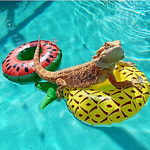 SEZDEKI 5 Pack Bearded Dragon Bathtub Toy - Small Animal Toy Inflatable Float for Hedgehog Lizard Ferret Tortoise Small Pets Accessories Photo Shoot Toy Pet Supplies (5 Pcs)