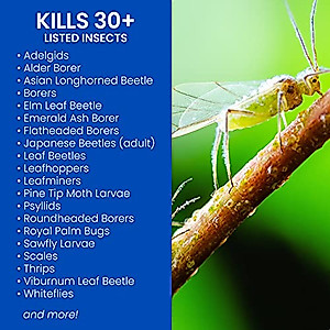 BioAdvanced 701525A Month Tree and Shrub Insect Control, 1 gal, Concentrate