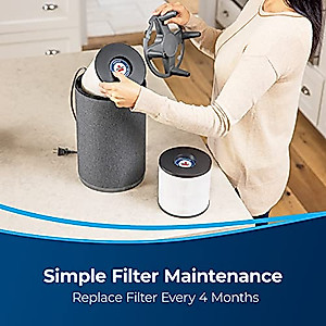 BISSELL® MYair™+ and MYair™ HUB HEPA and Carbon Filter, 3389