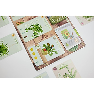 Planted Game by Phil Walker-Harding - Buffalo Games - Collect and nurture your houseplants.- Adult game night - Deck building game