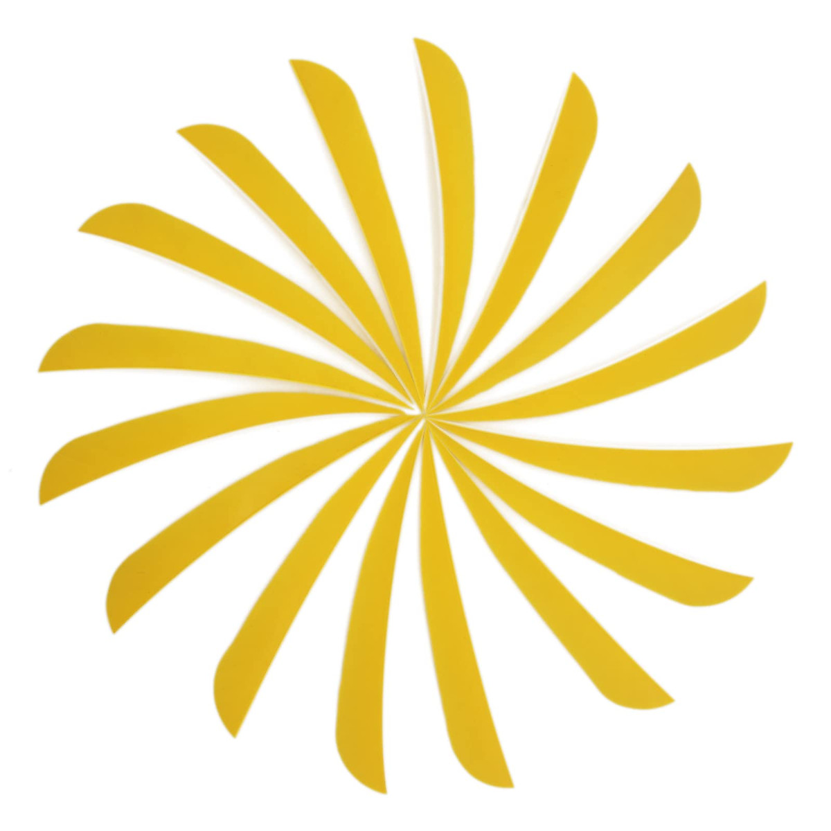 MILUWOND Arrow fletching 5 Inch Parabolic Shape Real Arrow Feather fletchings for Arrow Hunting Arrow DIY (50 Pack)