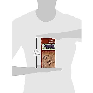 Animal Tracks: A Folding Pocket Guide to the Tracks & Signs of Familiar North American Species (Nature Observation North America)