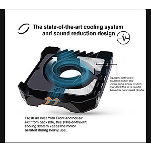 BioloMix Heavy Duty Commercial Blender,2200W 60Oz Professional Kitchen Blender for Smoothies,Shakes,Ice and Frozen Fruit,Optional Dry Grains Container