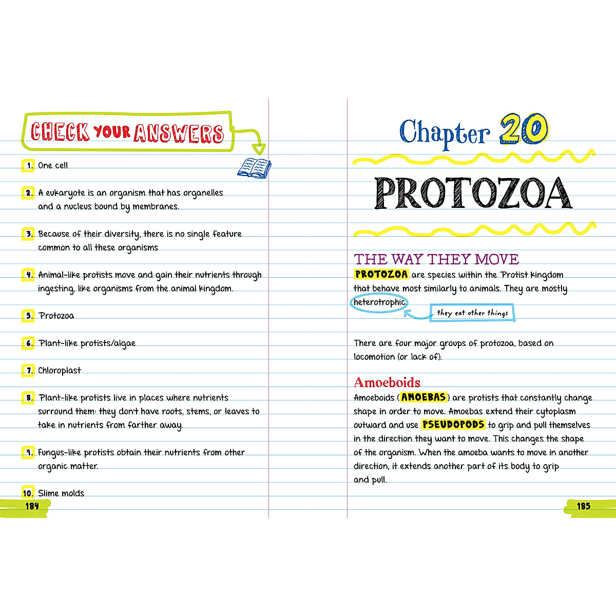 Workman Publishing Company - To Ace Biology in One Big Fat Notebook