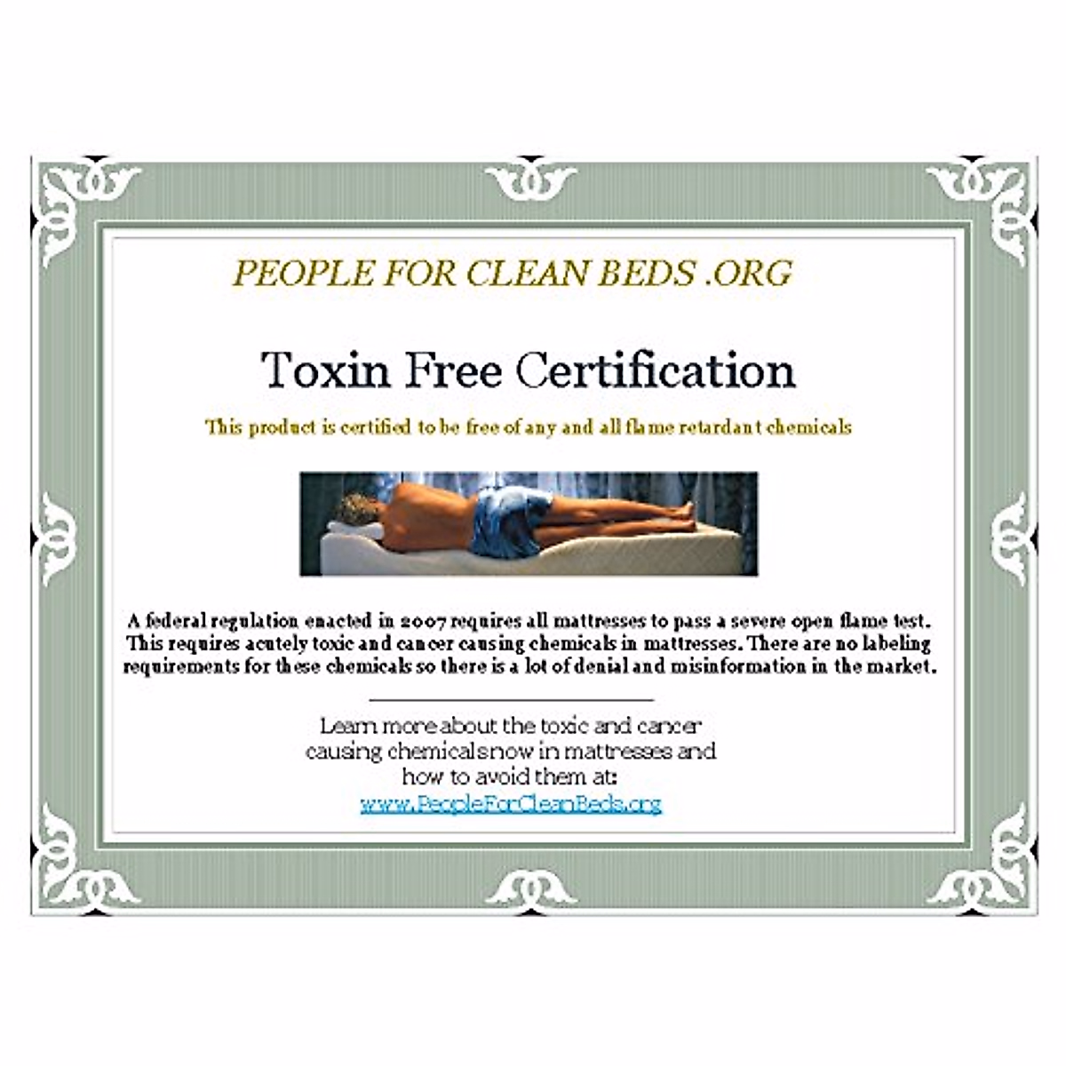 Strobel Organic Vail Complete Waterbed 5 Board Fabric Upholstered Chocolate Fabric King