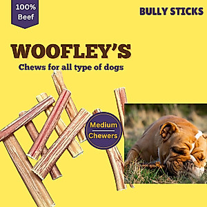 Woofley's 4-5" Bulk Regular Bully Sticks - (50 Count) - Bully Sticks for Dogs - Long Lasting Bully Stick Dog Chews