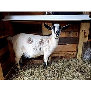 SWEETER HEATER Safe Heater for Chicks, Coops, & Animals, OH11x40, 150 Watt