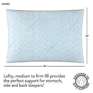 Dearfoams Cool Knit Nylon Infused Bed Pillows, Standard/Queen Size 20"x28", 2 Count