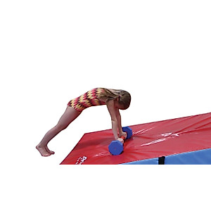 Tumbl Trak Forster Bar Skills Trainer,Blue 20 in x 5 in x 5 in