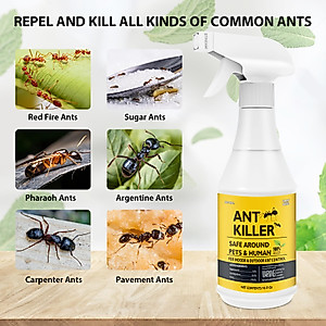 BugBai Peppermint Oil Ant Killer & Repellent Spray Outdoor, 16OZ Natural Ant Spray Indoor Home Kitchen Safe for Pets and Kids, Powerful Carpenter Ant Killer to Kill & Get Rid of Ants Permanently