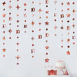 Rose Gold 10th Birthday Decorations Number 10 Circle Dot Twinkle Star Garland Metallic Hanging Streamer Bunting Banner Backdrop for Girls Boys Ten Year Old Birthday 10th Anniversary Party Supplies