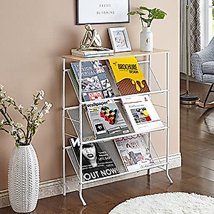 Nevfiro 4-Tier Shoe Rack Storage Organizer, Narrow Shoe Rack Shelves with 3 Metal Mesh for Bedroom Closet, Entryway, Hallway, Wire Grid, Shoe Shelf with Wood Top Board, 10-12 Pairs