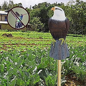 Hausse Bird Scarecrow Fake Horned Hawk Decoy, Bald Eagle Bird Repellent Garden Protectors, Falcon Scare Birds Away Deterrent Scarecrow for Garden Yard Outdoor