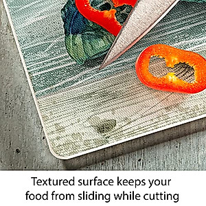CounterArt Northpoint Turtles 3mm Heat Tolerant Tempered Glass Cutting Board 15” x 12” Manufactured in the USA Dishwasher Safe