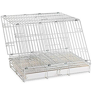 Two Size, Durable Metal Travel or Veterinary Collapsable Parrot Bird Carrier Cage