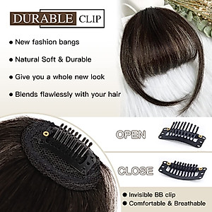 HMD Bangs Hair Clip in Bangs Real Human Hair Wispy Bangs Fringe with Temples Hairpieces for Women Clip on Air Bangs Flat Neat Bangs Hair Extension for Daily Wear (Wispy Bangs, Dark Brown)