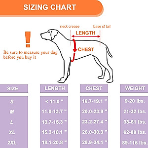 Coodeo Dog Back Brace for Dogs Arthritis, Pet Back Bracer for IVDD, Back Protector Helps Pain Relief, Surgical Recovery and Rehabilitation, Dogs Back Disease Prevention. (Medium)