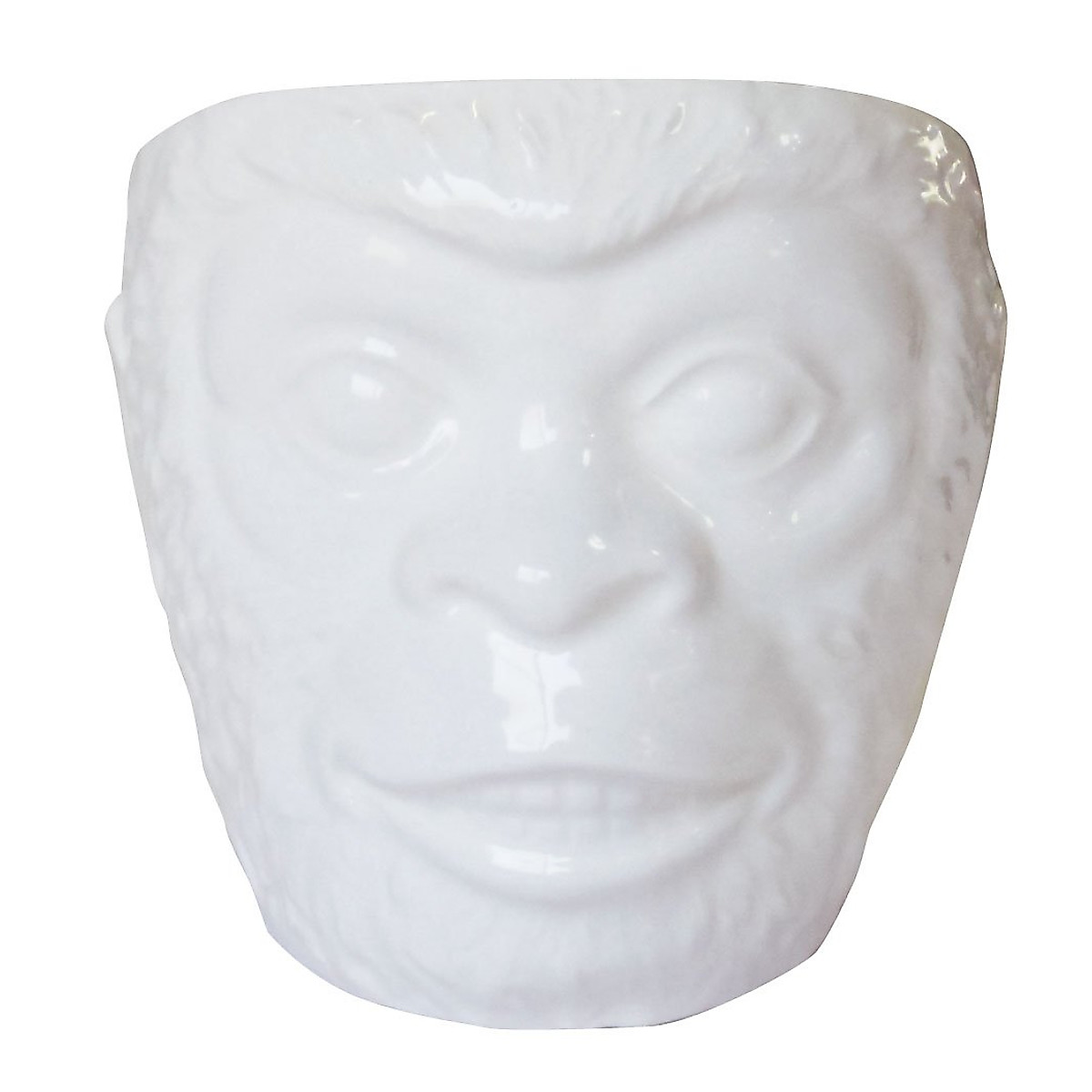 Sunart SAN2498 Funny Tableware, Brain, Monkey Don, 17.6 oz (500 g), White