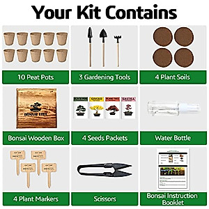Bonsai Tree Kit, 4 Bonsai Tree Seeds with Complete Growing Kit & Wooden Planter Box, Indoor Bonsai Tree Starter Kit, Great Potted Plants Growing DIY Gift for Adults