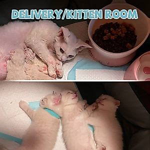 SENCONE Portable Pet Playpen, Dog Playpen Foldable Pet Exercise Pen Tents Dog House Playground for Puppy Dog/Cat Indoor Outdoor Travel Camping Use