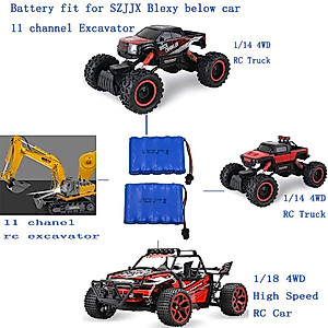 Blomiky 2 Pack 6.0V 700mAh Ni-CD AA Rechargeable Battery Pack SM2P Plug and 2 USB Charger Cable Fit for Old Version 11.5Inch Amphibious Stunt RC Cars Vehicles / 6V 700mAH and USB 2