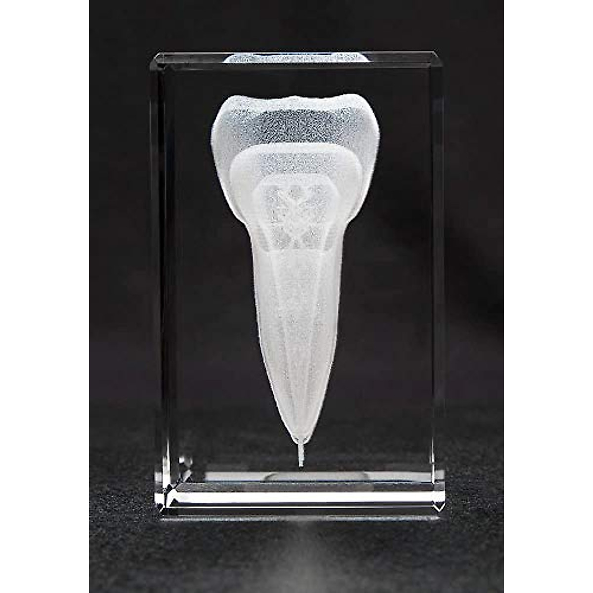 Anatomy Crystal (Tooth, 1 Pound)