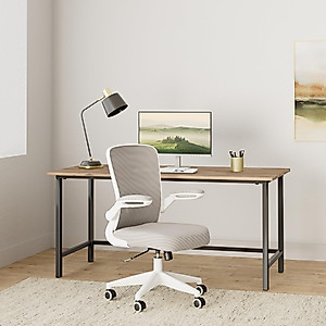 FelixKing Ergonomic Office Chair, Adjustable Height, Breathable Mesh Fabric, Lumbar Support, Gray