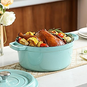 Roydx Enameled Cast Iron Dutch Oven Pot with Lid, 6 Quart Dutch Oven for Bread Baking–Dual Handles w/Silver Knob–Oven Safe up to 500° F or on Stovetop, Undoubtedly Gift-Worthy, Pink Dutch Oven