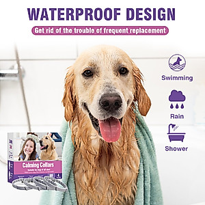 Calming Collar for Dogs 4 Packs Dog Pheromone Calm Collars Relief Anxiety Stress Separation Lasts 60 Days Relieve Bad Behavior 25 Inches Size Flexible Adjustable for All Small Medium and Large Dog