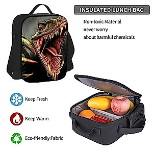 CNRYRIO Dinosaur Backpack Kids School Bag Set 17 Inch Laptop Backpack with Insulated Lunch Box and Pencil Case for Boys and Girls (Dinosaur-B)