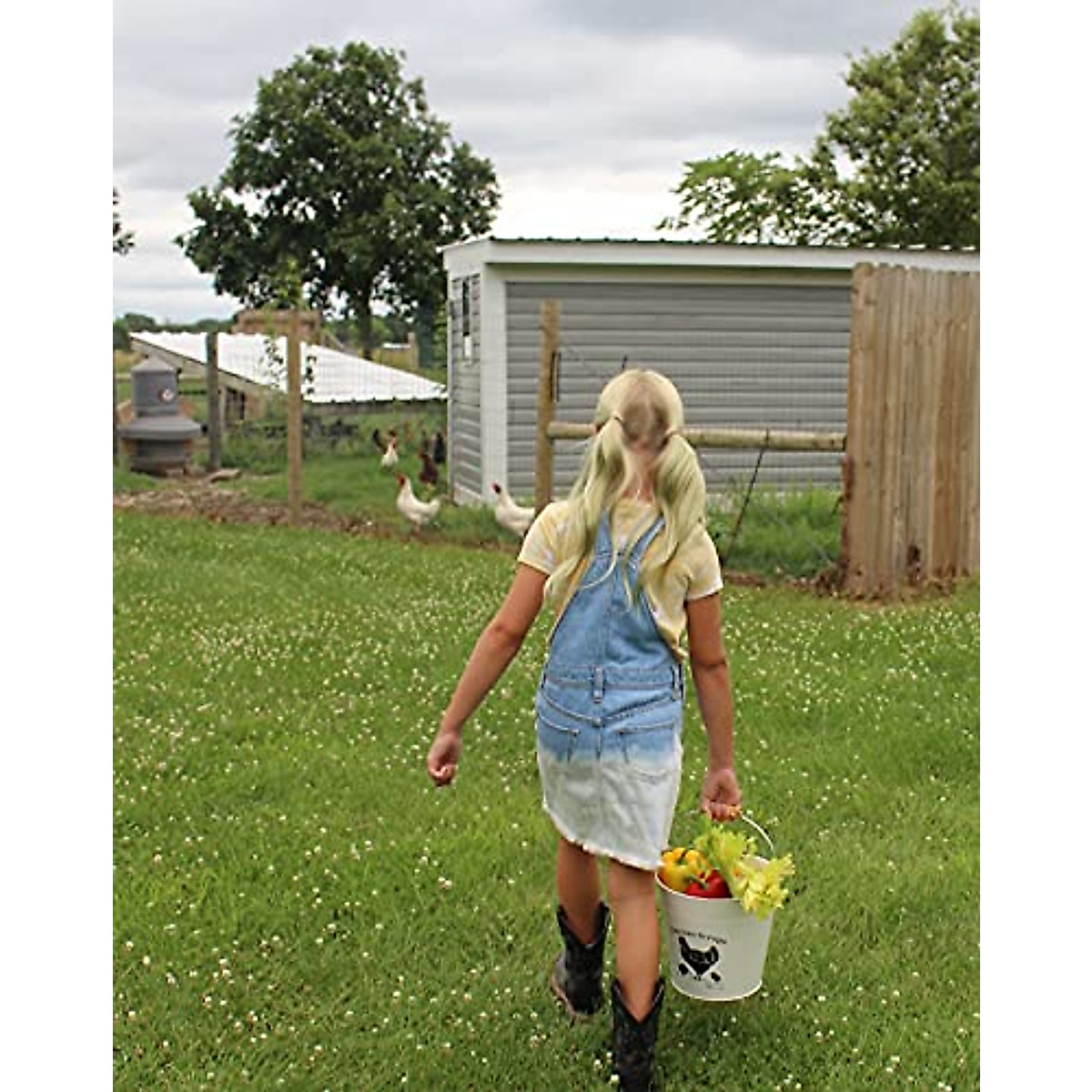 Chicken Scraps Bucket to collect your leftover food to feed your hens, roosters, feathered ladies, chicken friends chicks, free-ranged chickens, roos, or whatever you call your chickens (Chicken)