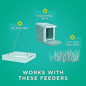 Audubon Park Critter Crunch Backyard Wildlife Food, Bird and Squirrel Food for Outside Feeder, 5-Pound Bag