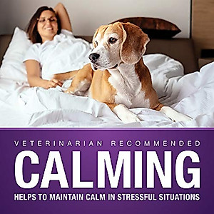 VetIQ Calming Support Supplement for Dogs, Anxiety Supplement Soft Chews,1 Count (Pack of 90)