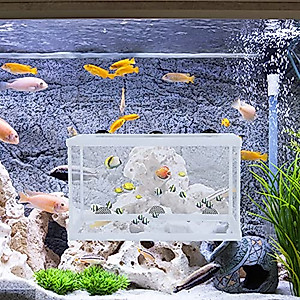 2 Pieces Fish Tank Breeder Net, Akamino Large Fish Breeder Isolation Box, Plastic Frame Hatching Box Separation Net Breeding Box with Suction Cup for Aquarium